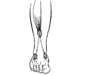 A New Chapter...: Twelve months down the track...