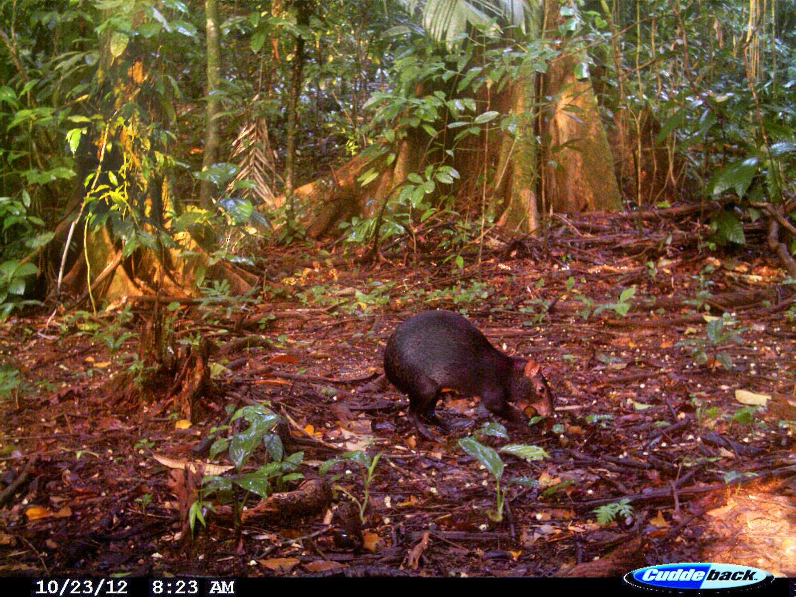 La Fotografía es vida: 2014