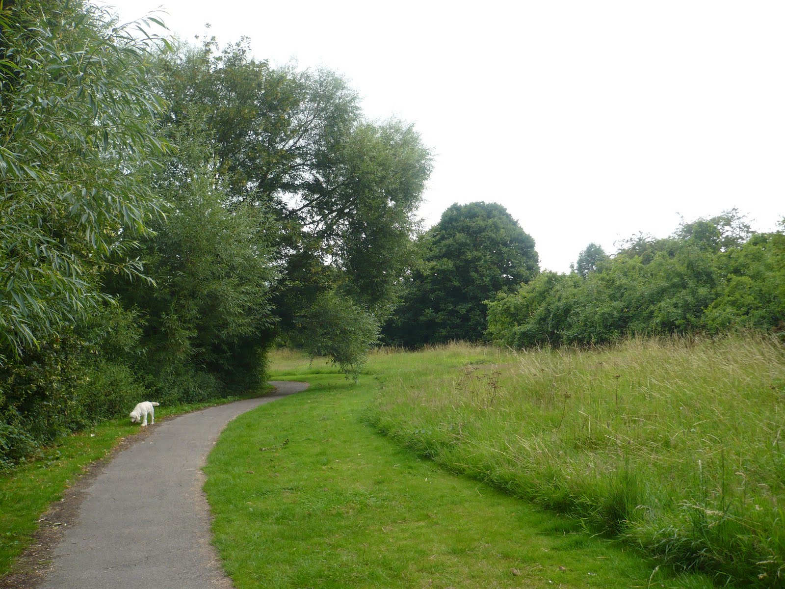 London Calling... a Carter-Johnson year abroad: Morning Walks in the ...
