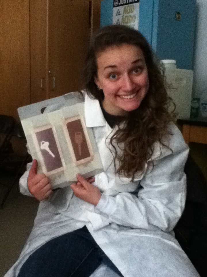 19th Century Photographic Processes: Photogenic Drawing - Process