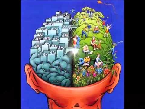 INNATISMO DEL LENGUAJE