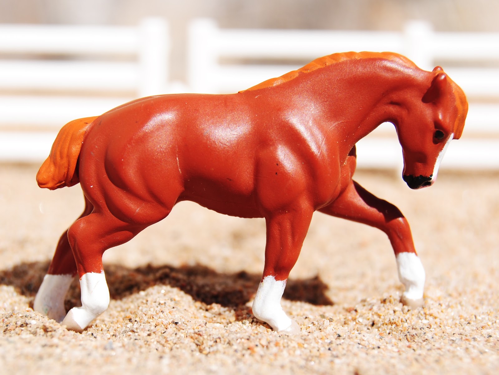 Adventures of a Model Horse Addict: Italian Heavy Drafts, Revisited