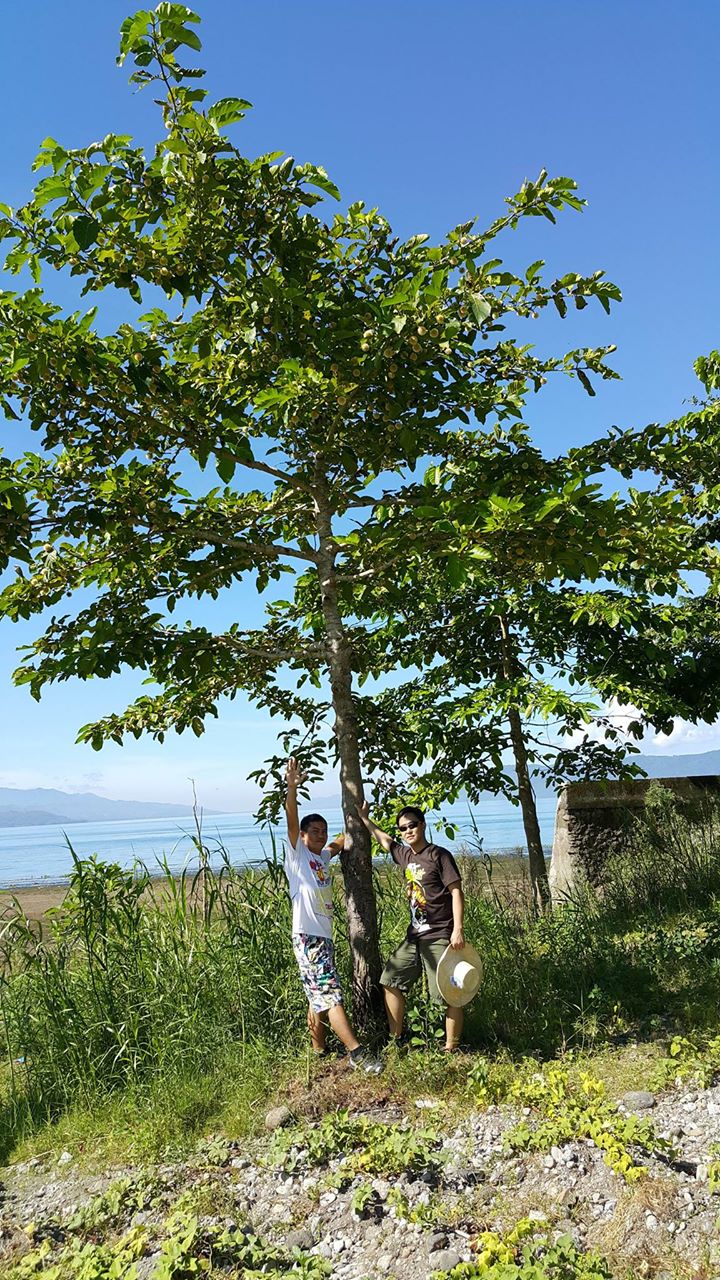 Lake Mainit of the Philippines: 2016.09.16 Ten Productive Years since ...