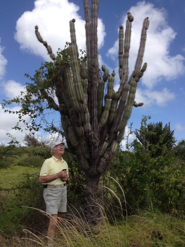 MARIETTE'S BACK TO BASICS: {Flora from our Curaçao Vacation}