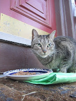 mandeeblogs: Microwave Toe Warmer Upper Tutorial