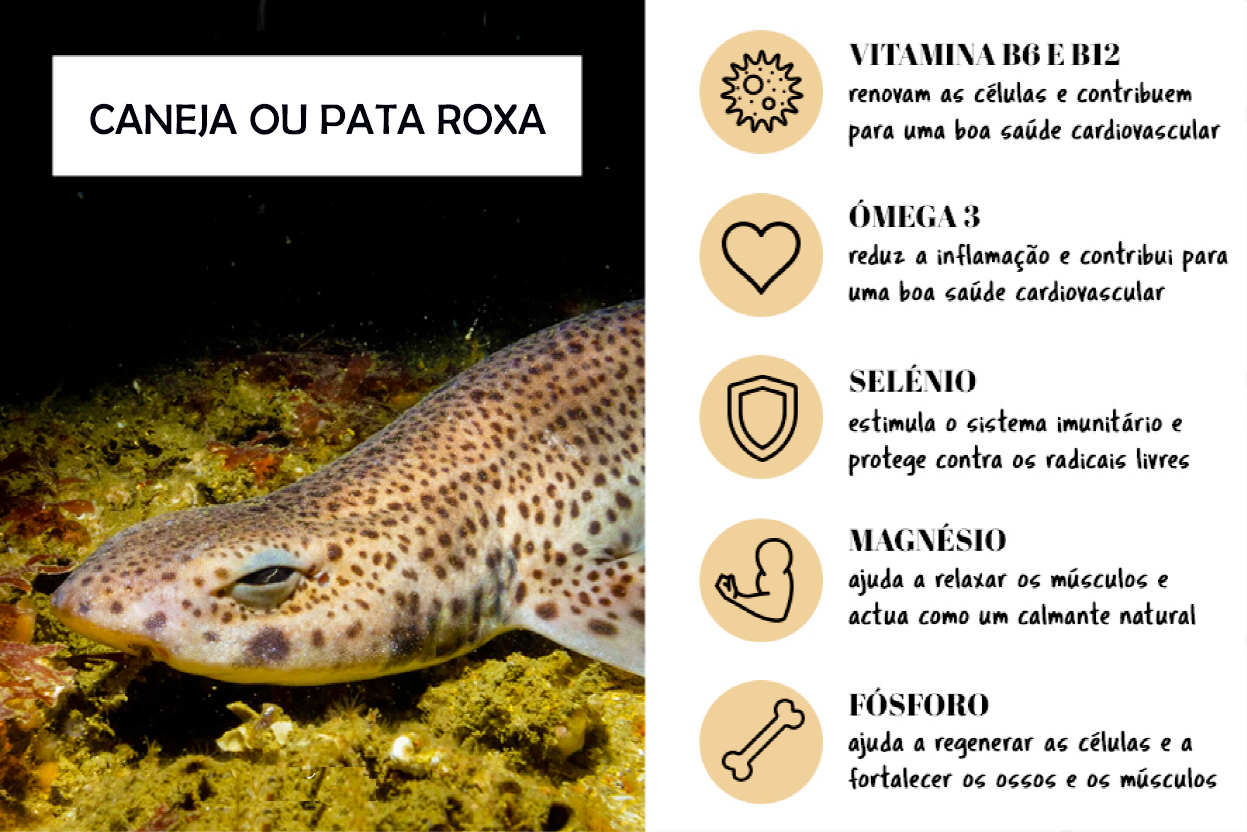 Paulo Adriano Baptista: CANEJA - PATA ROXA