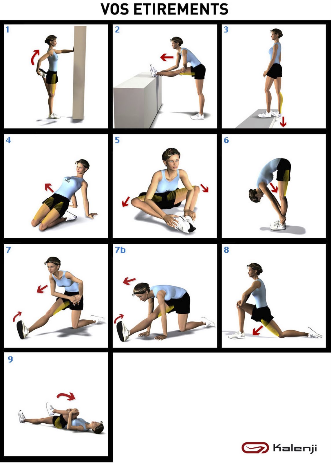 EPS au lycée Rimbaud d'Istres: Docs Etirements