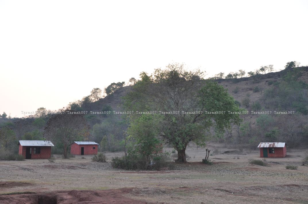 Tarmak007 -- A bold blog on Indian defence: Close Combat-3 | Jungle ...