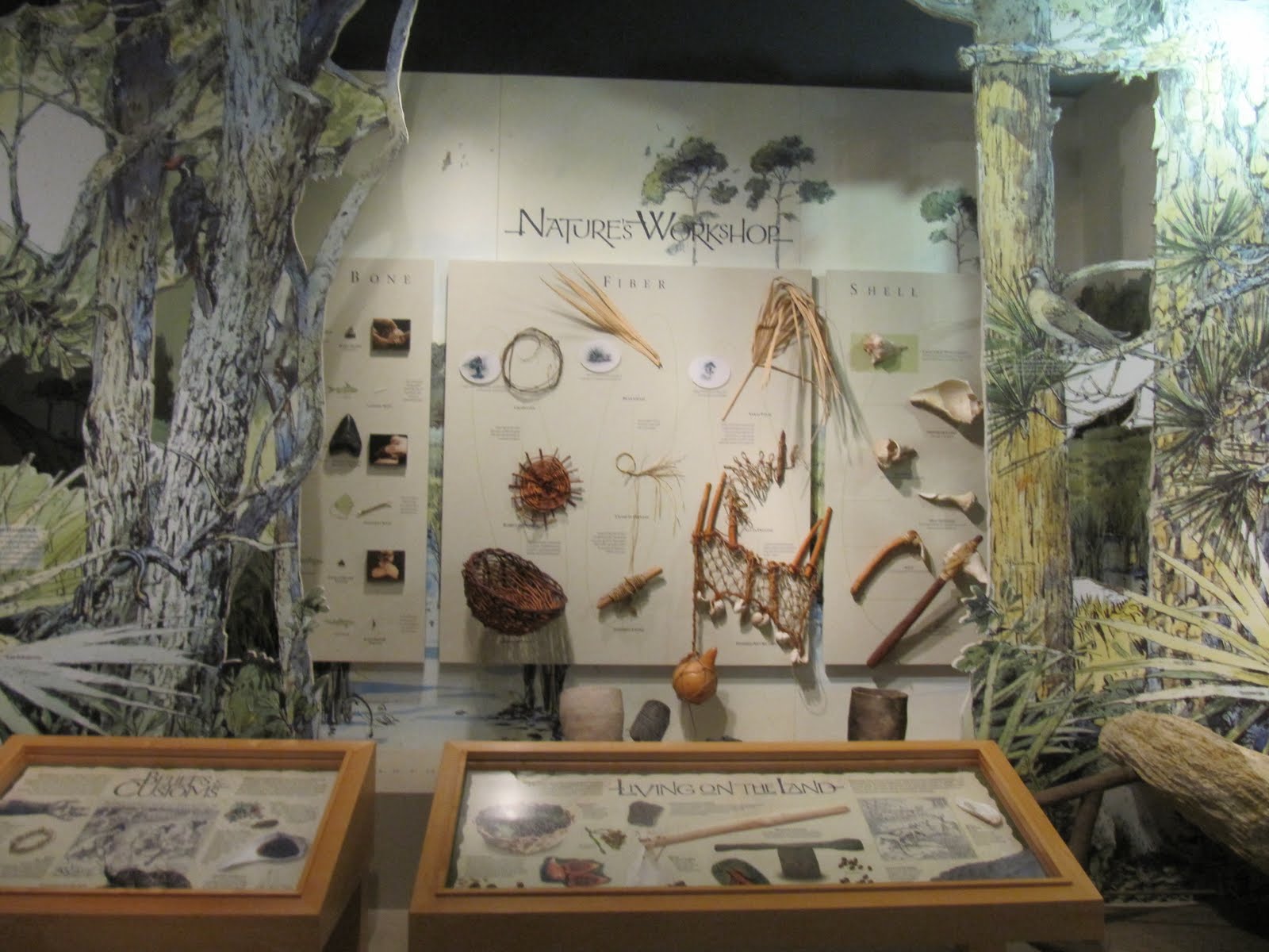 Erica's Environmental View: Field Trip #3 - Timucuan, Fort & Monument