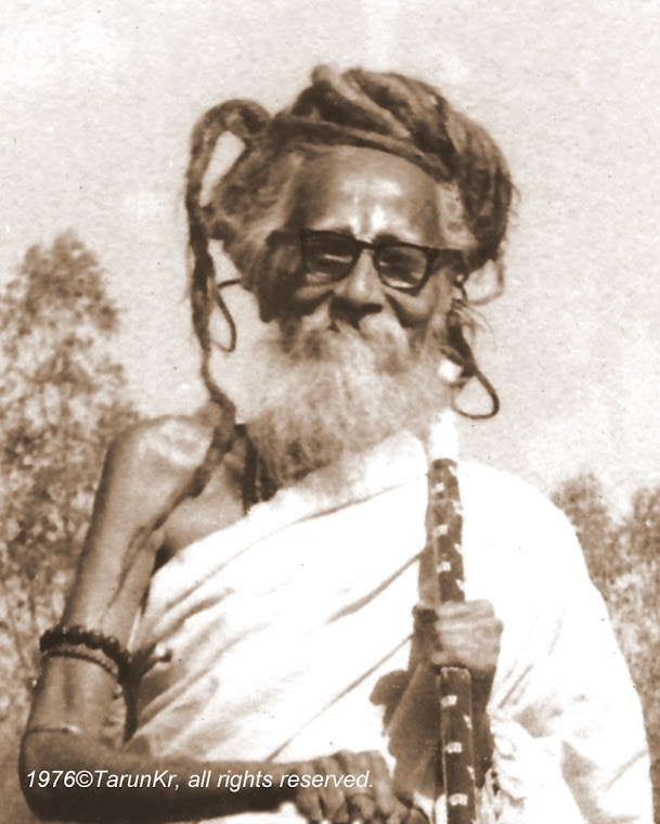 Shri Shri Sitaramdas Omkarnath Dev - my memories