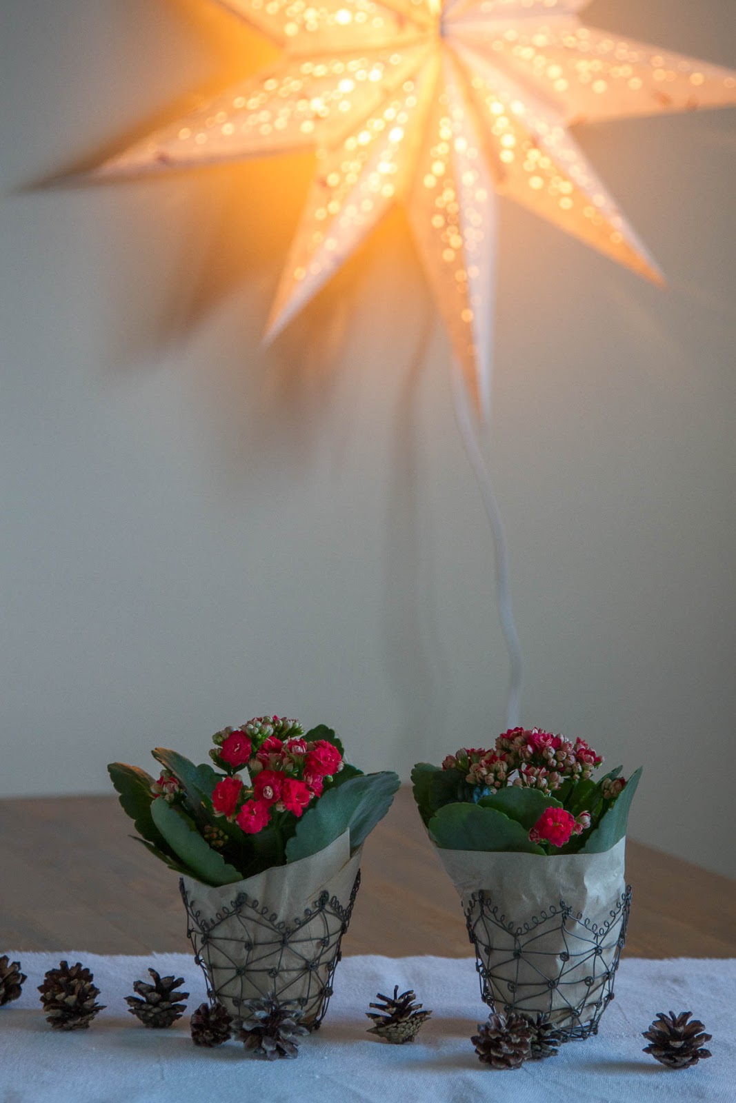 16. Somista kodin joulukukat - Kokeileva käsityö