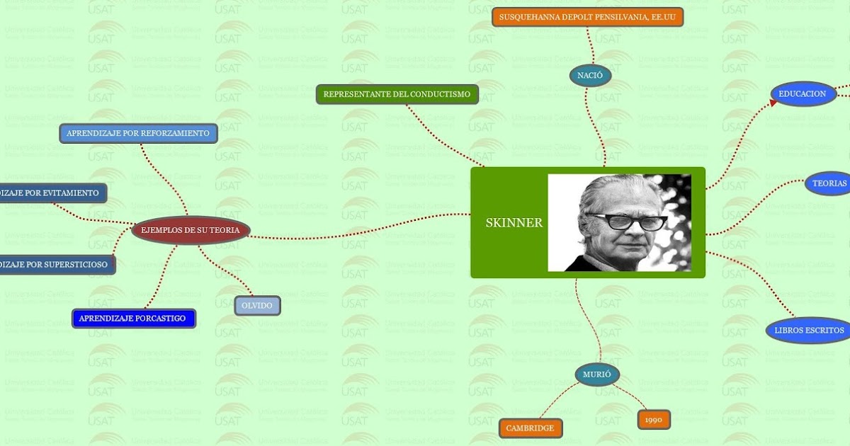 EL BELLO MUNDO DEL CAMPO EDUCATIVO - PRIMARIA : MAPA MENTAL (SKINNER)