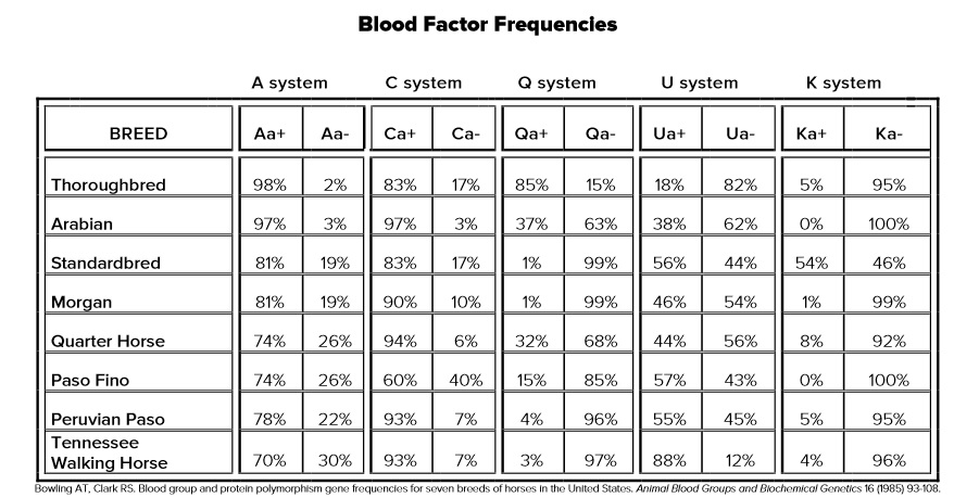 The Semi Feral Equestrian: What's the Scoop: Blood Type & Horses
