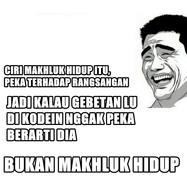5 Meme Lucu 'Bukan Makhluk Hidup' Ini Bikin Jomblo Nangis Darah, Sabar ...