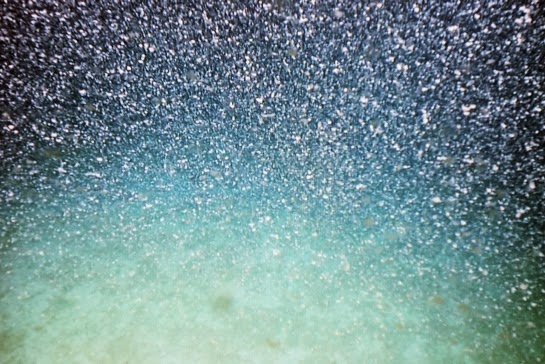 Opiniones de nieve marina