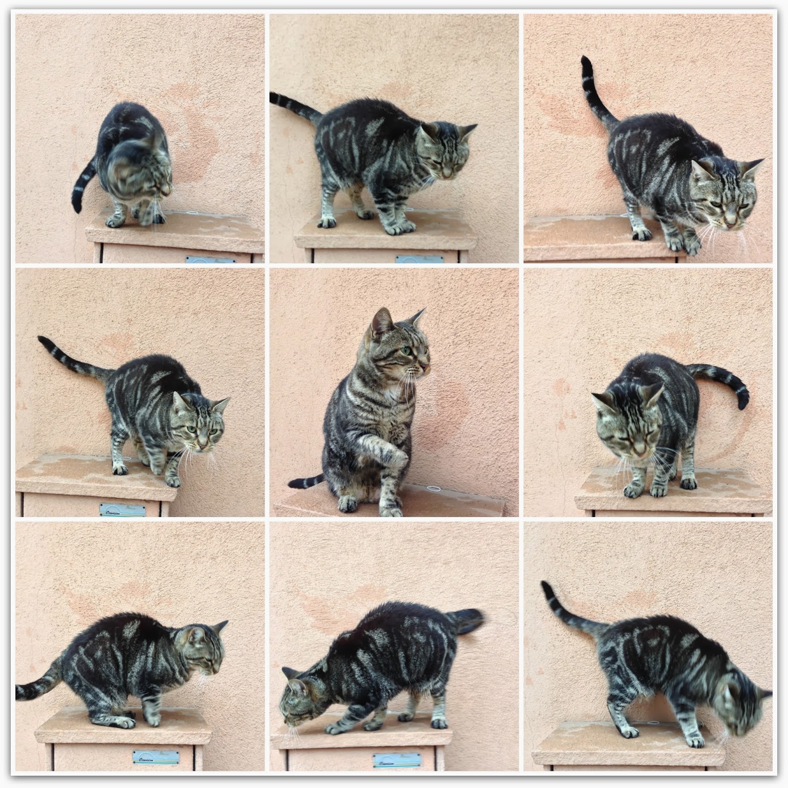 The Auntie Times: January 2014