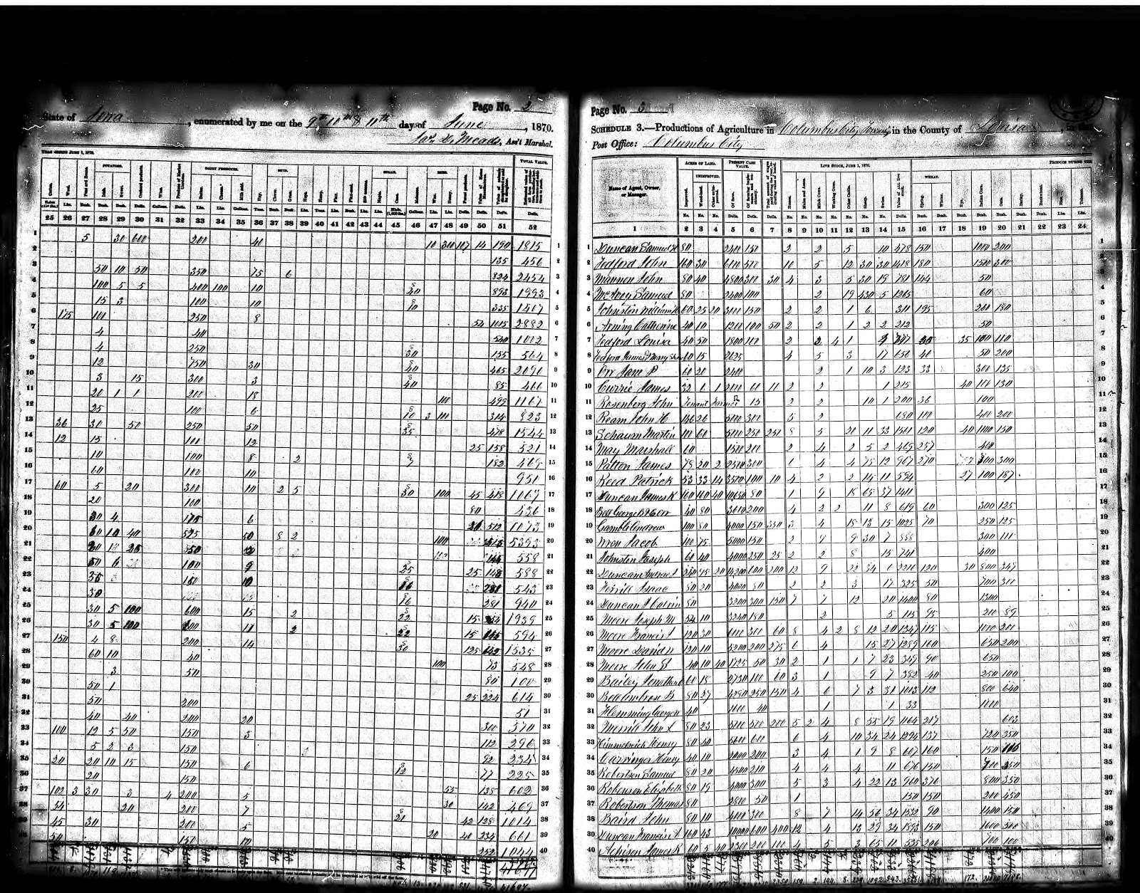 Genea-Musings: Treasure Chest Thursday - 1870 U.S. Agricultural Census Record for Henry ...