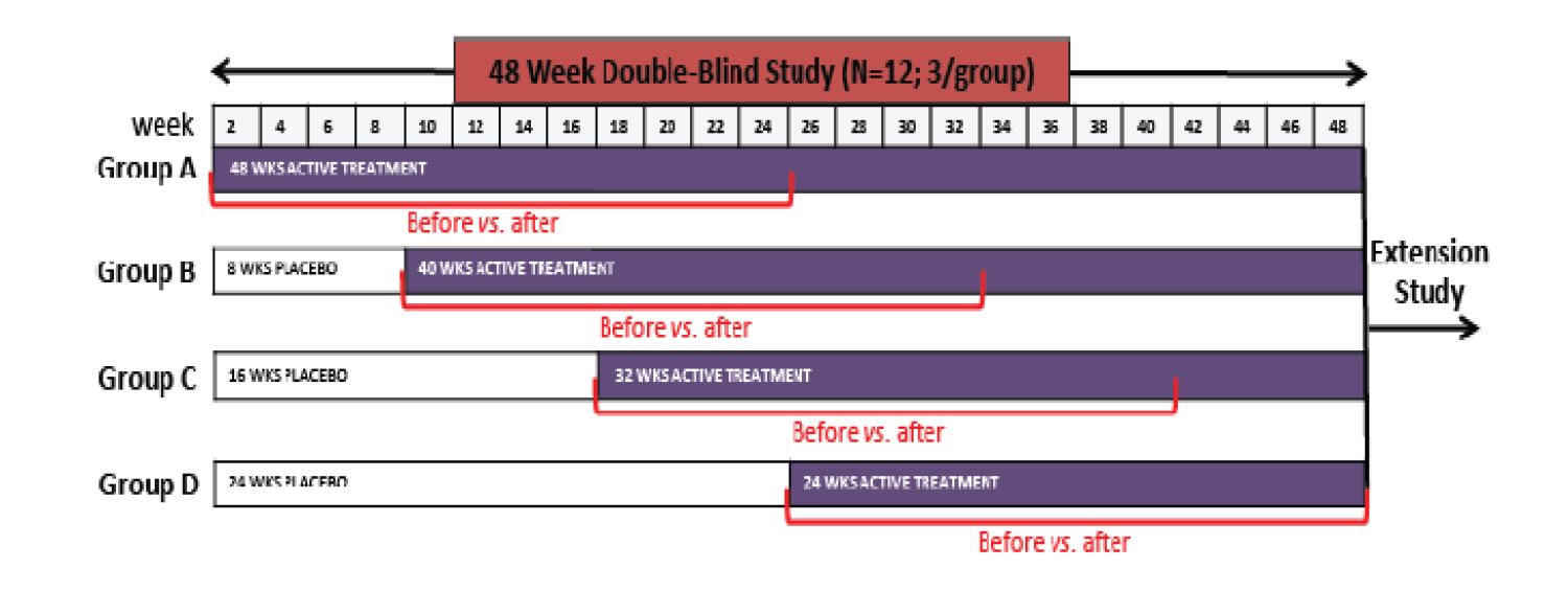 Enzyme Replacement Therapy, Glycosaminoglycans, and MPS VII