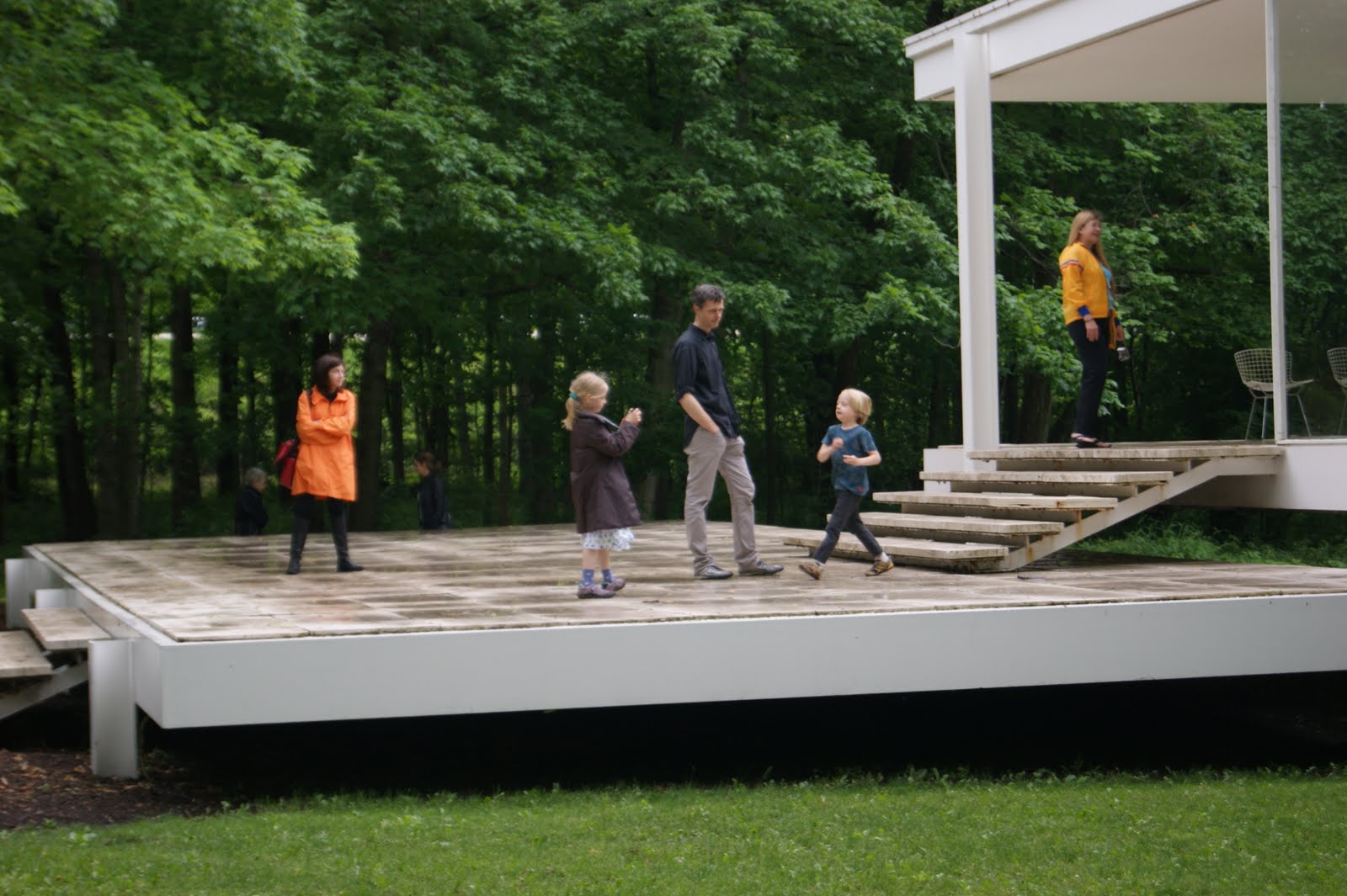 NATASHA PIRONDI arquiteta: Mies Van Der Rohe / Plano-IL