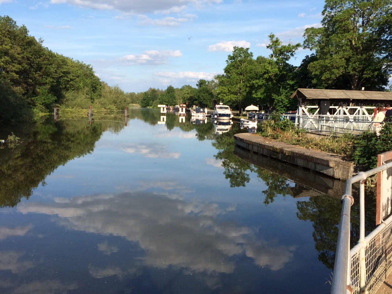 Thames Path Ramblings: Radley to Culham Lock