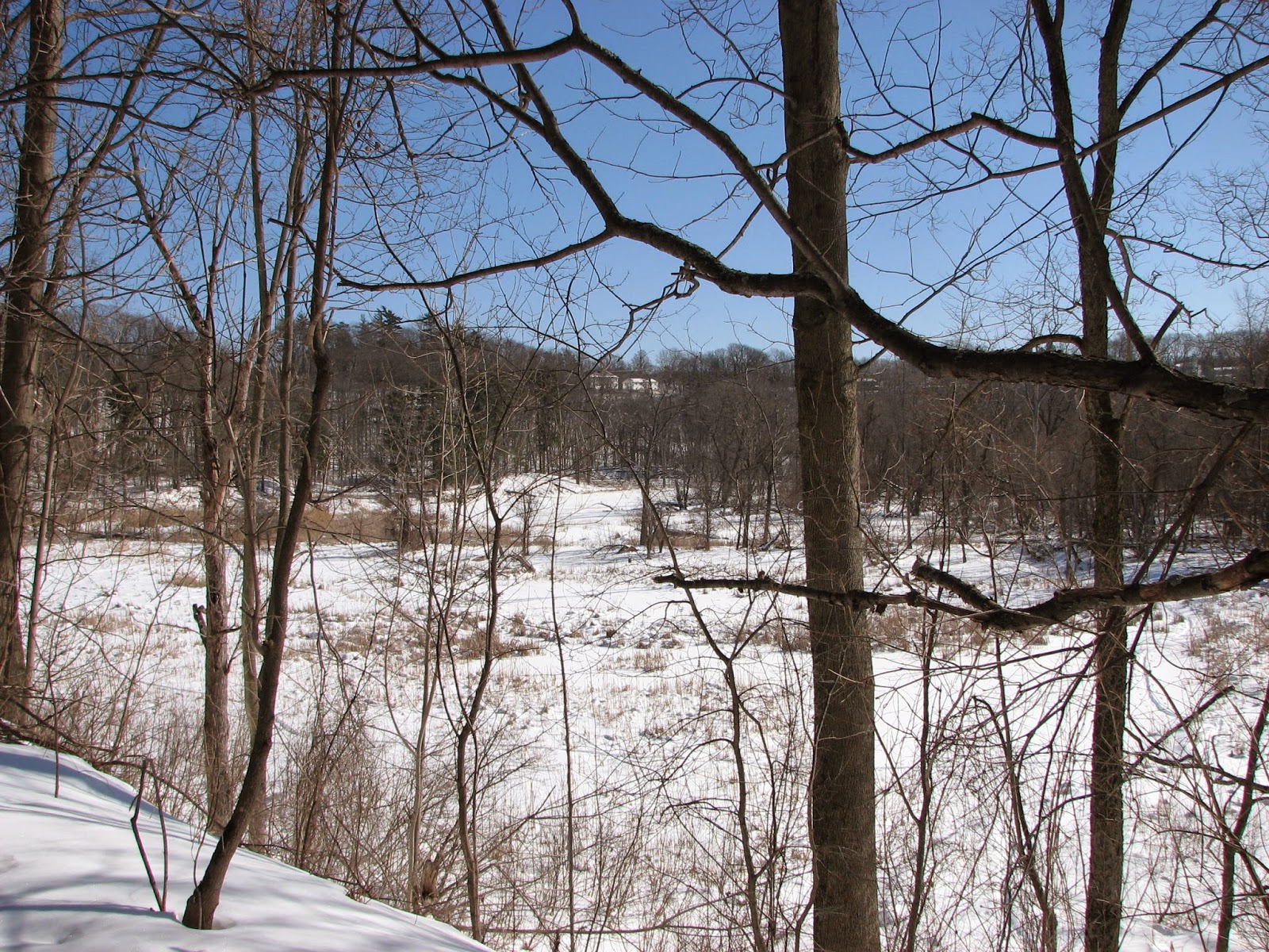 Woodside Natural Area, nature trails-WVPD. (Photos). In search of the ...