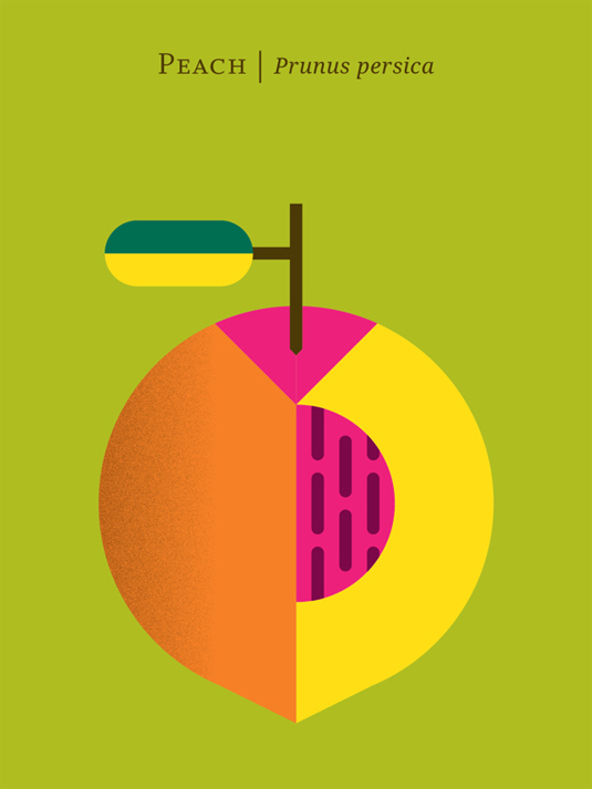 DESIGN: Fruit illustrations by Christopher Dina - The Graphic Foodie ...