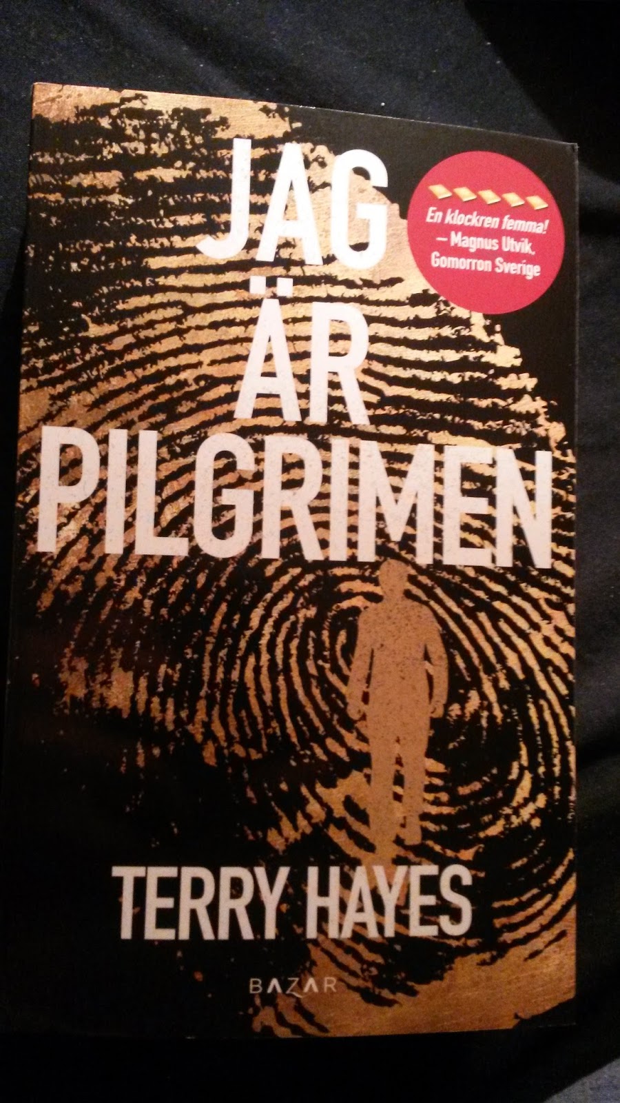 My own little corner of the world: Terry Hayes - I am Pilgrim