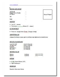 Mini Notlar: Hazır (Boş) Türkçe (İngilizce) CV indir