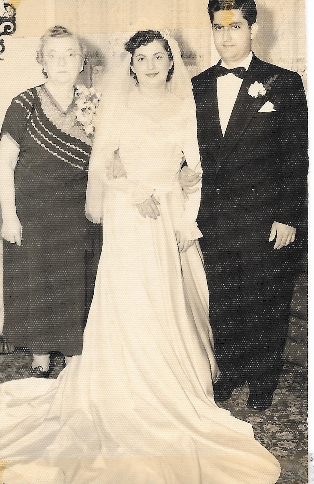 Gathering the Cousins: The Manzelli Story as told by Marilyn