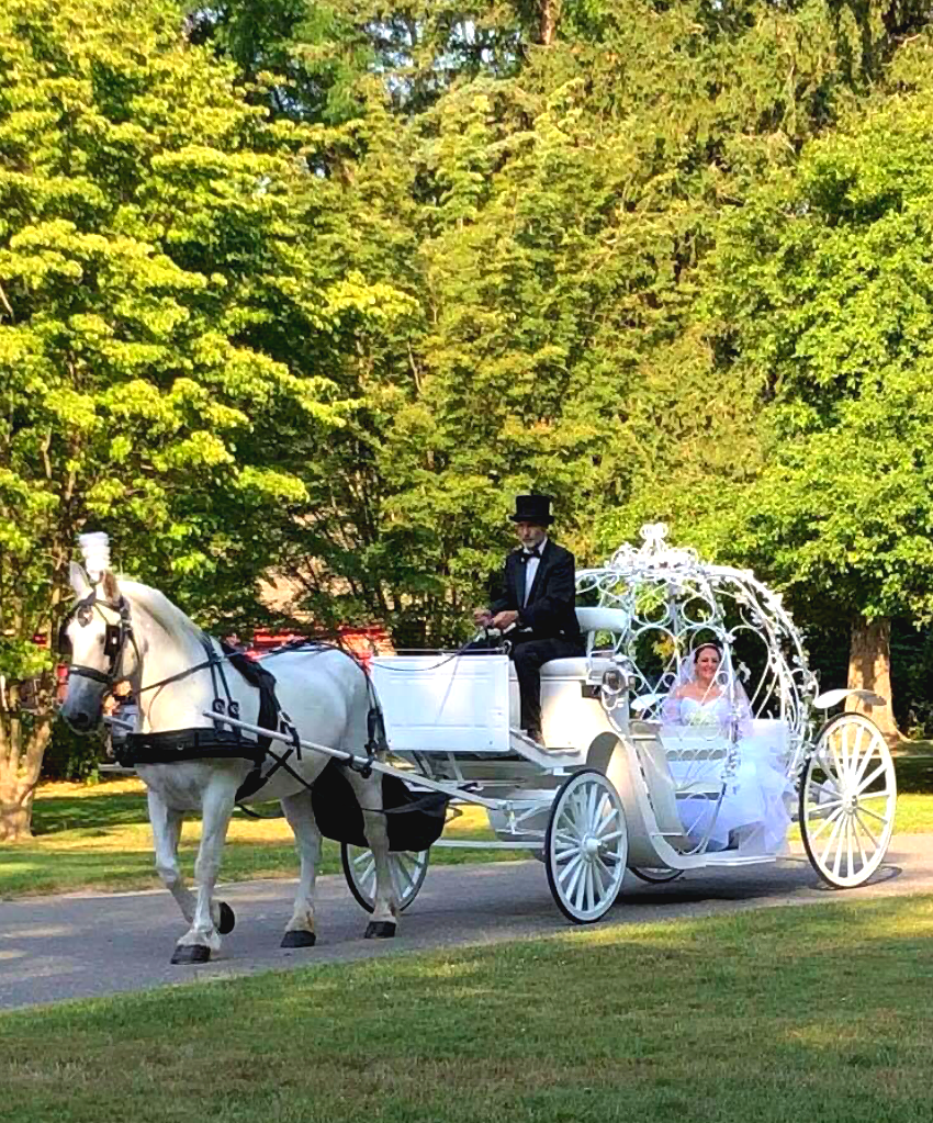 Dream Horse Carriage Company: Cinderella Pumpkin Carriage at Oheka ...