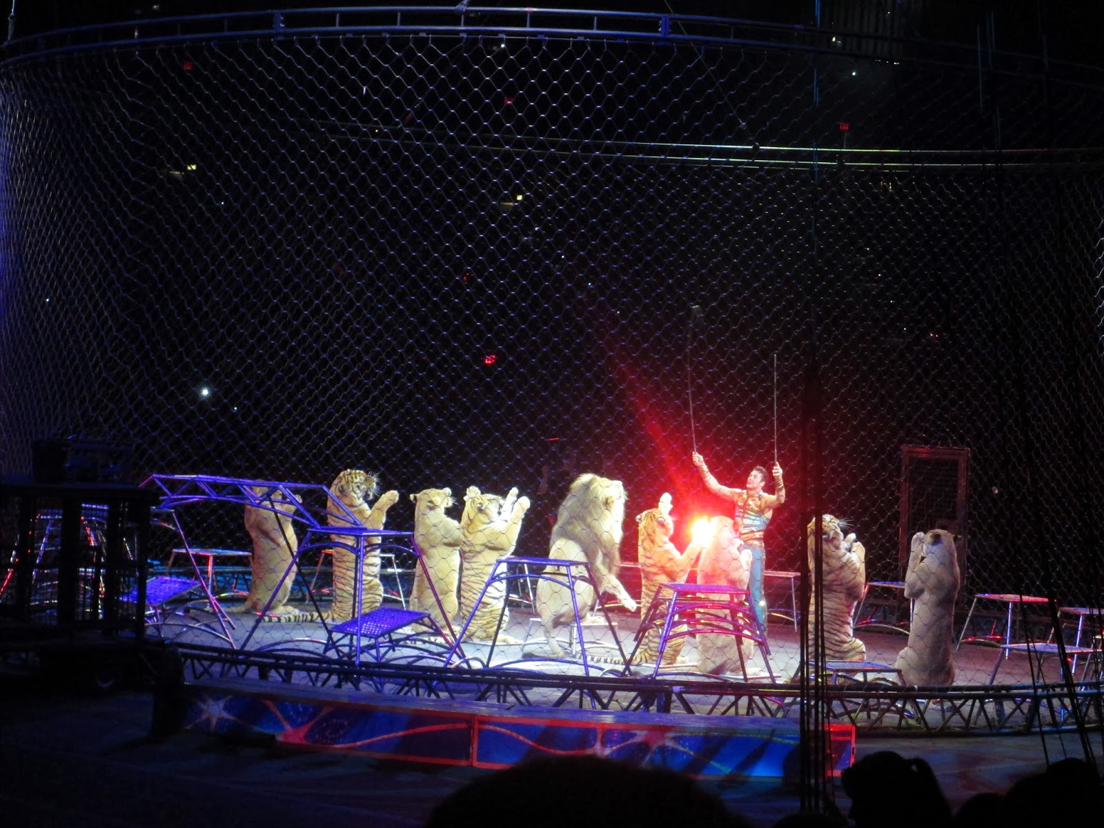 Loving Life: Ringling Bros & Barnum Bailey Circus Review