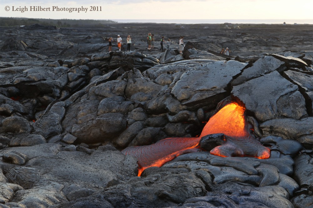 HAWAIIAN LAVA DAILY: ~ Coastal plain surface lava continues spreading ...