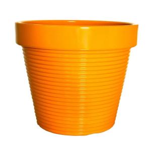 Miss Priss Morgan: Small Space Gardens