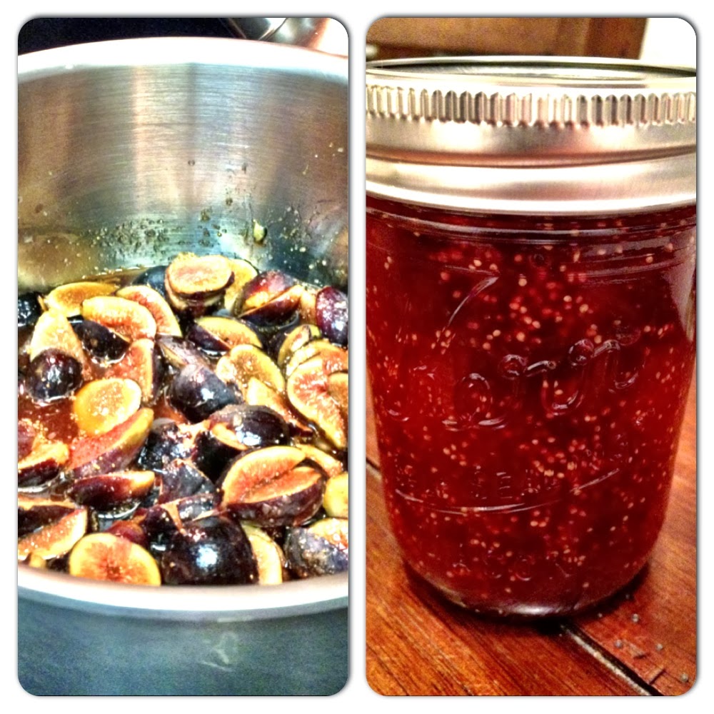 LEKKER RESEPTE VIR DIE JONGERGESLAG: MIKROGOLF VYE KONFYT