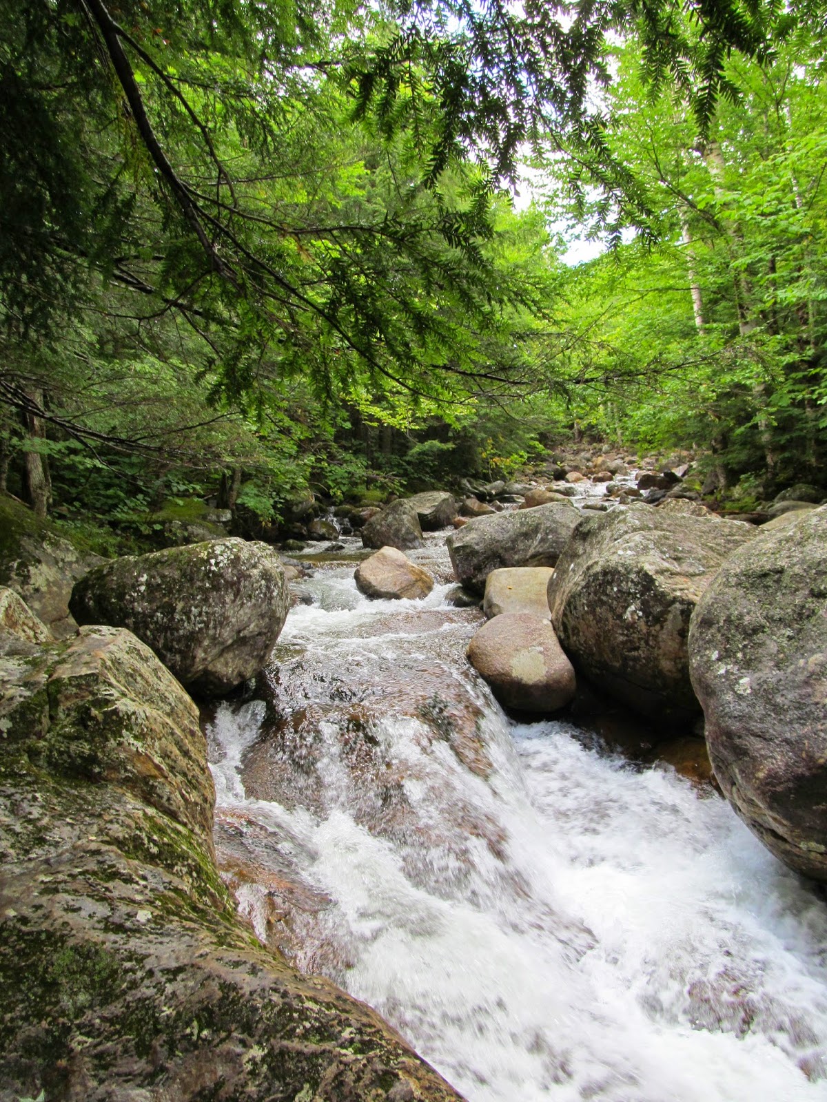 Summits and Suds: The Carter Range - NH