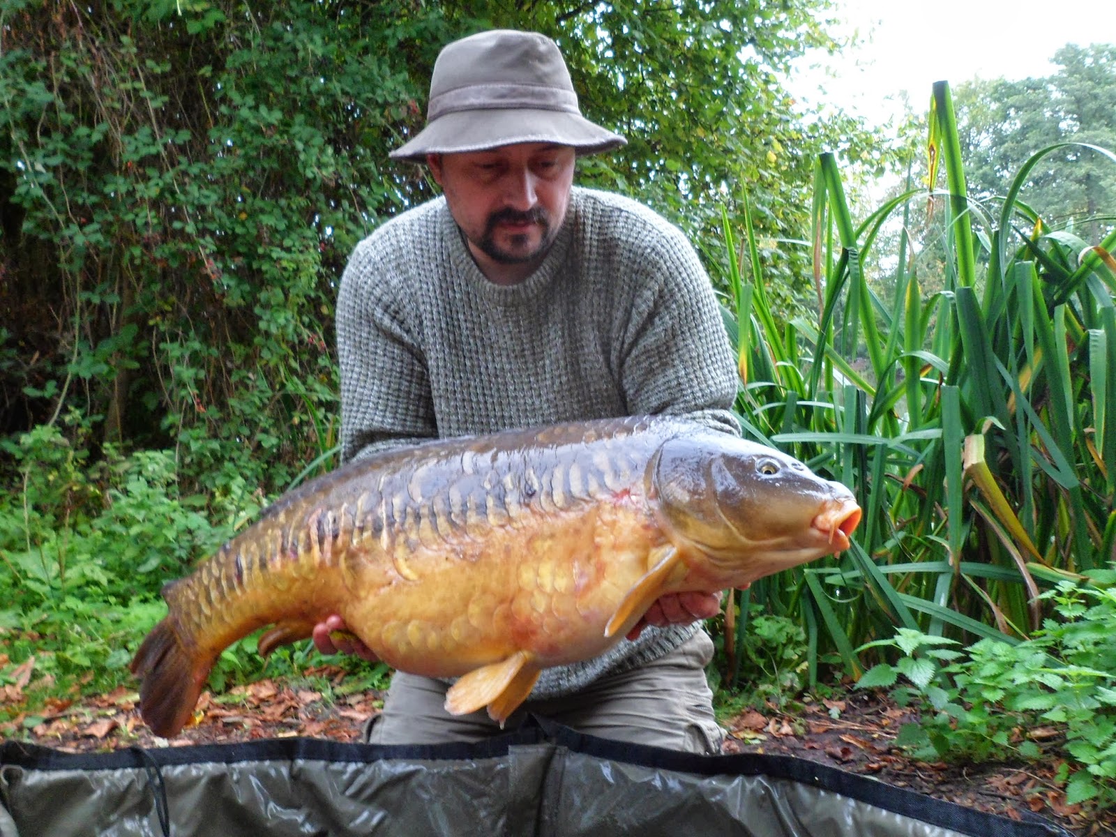 The Intrepid Piscator: Redmire Pool 2013