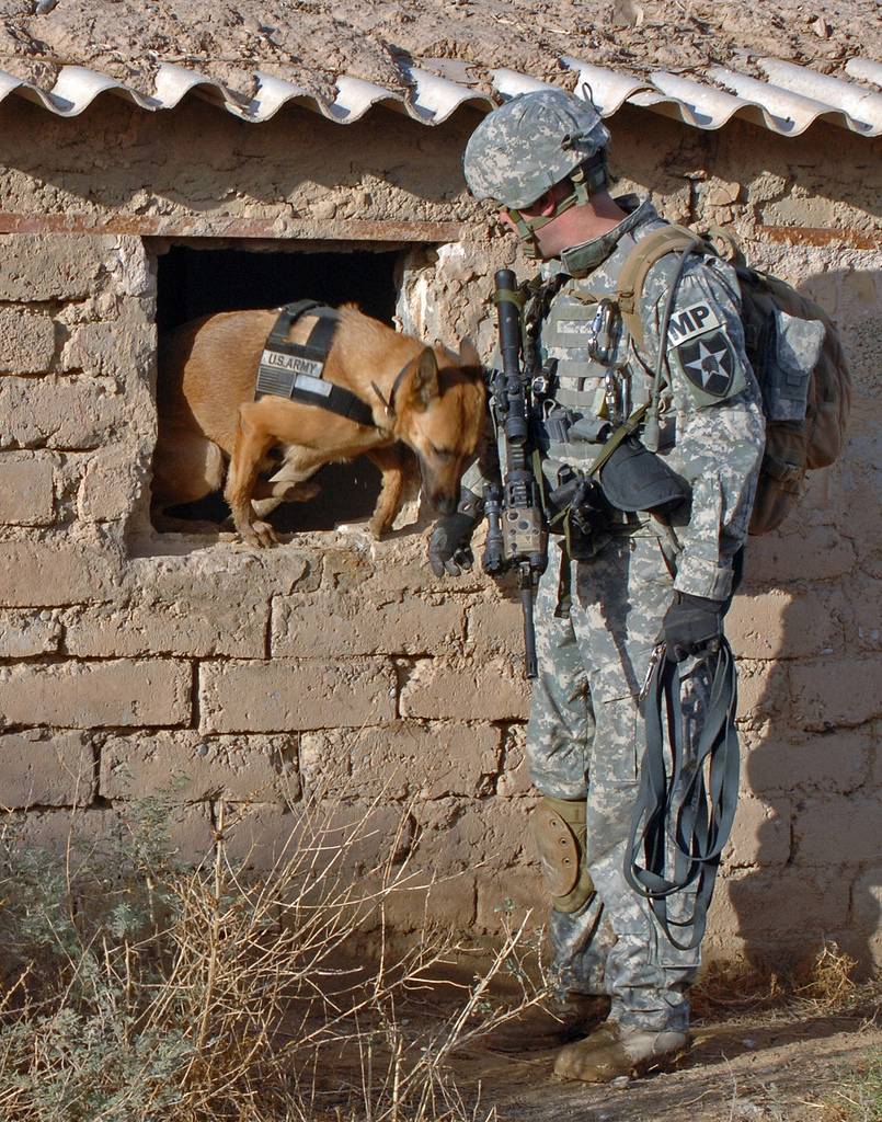 The Dogs of War – A Tribute to the MWD, Military Working Dogs | The Ark ...