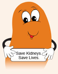 tratamiento de nefrótico: Causas y tratamiento eficaz para el riñón ...