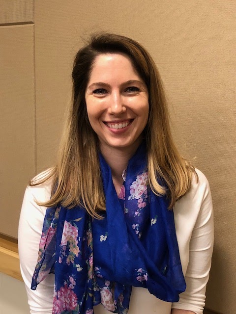 Guessing Geisel: A Mock Geisel Blog: Alexander Hamilton: A Plan for ...