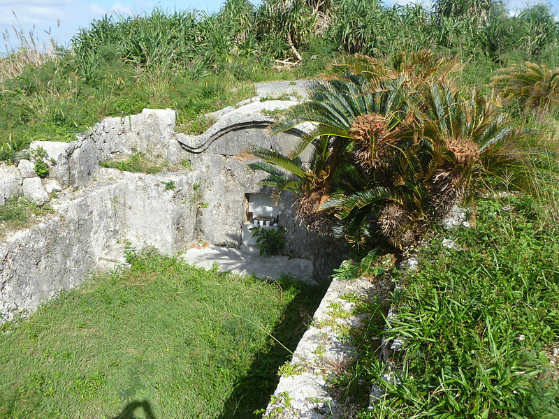 Okinawan Odyssey: More from Toguchi Park