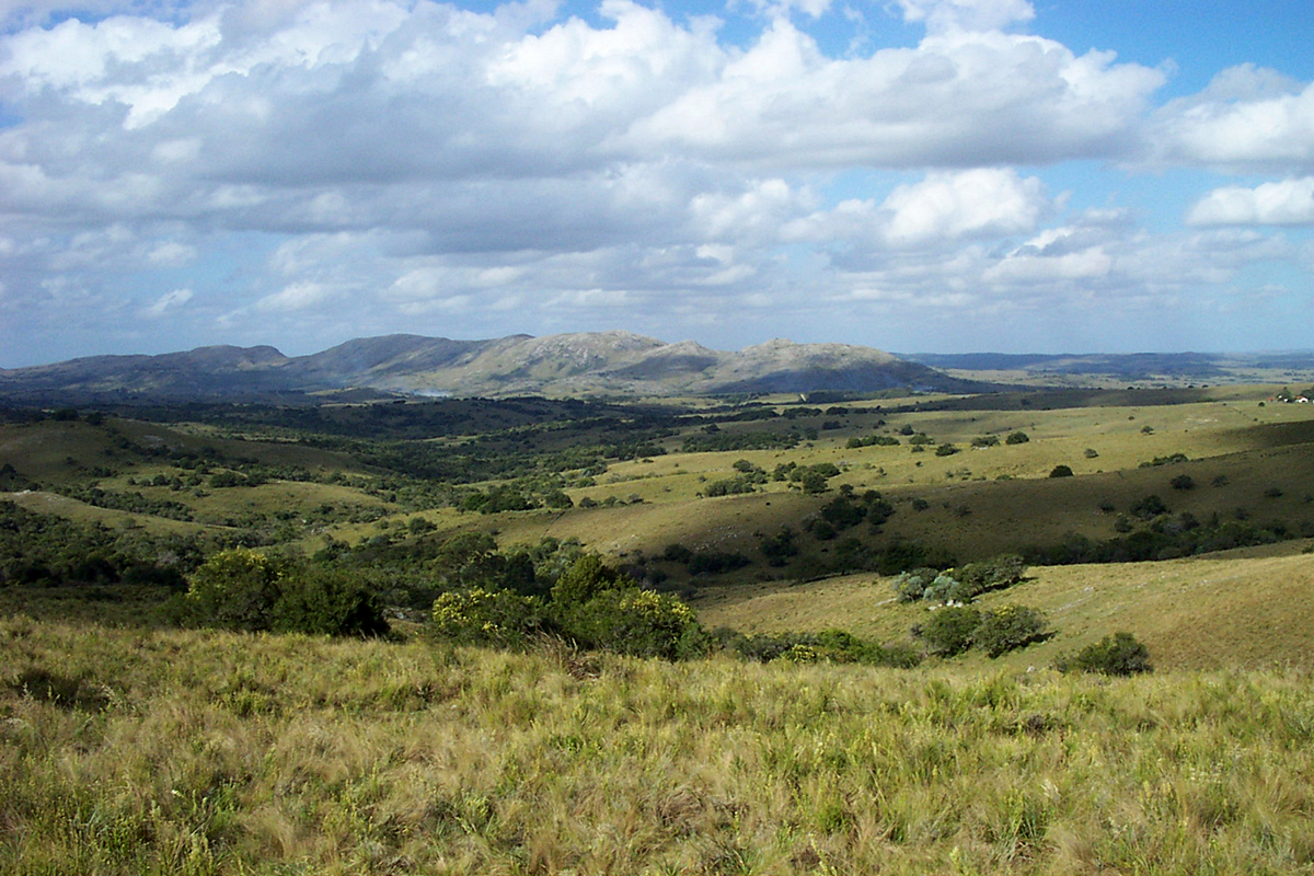Uruguay y sus curiosidades-Uruguay and its curiosities: Pictures of ...