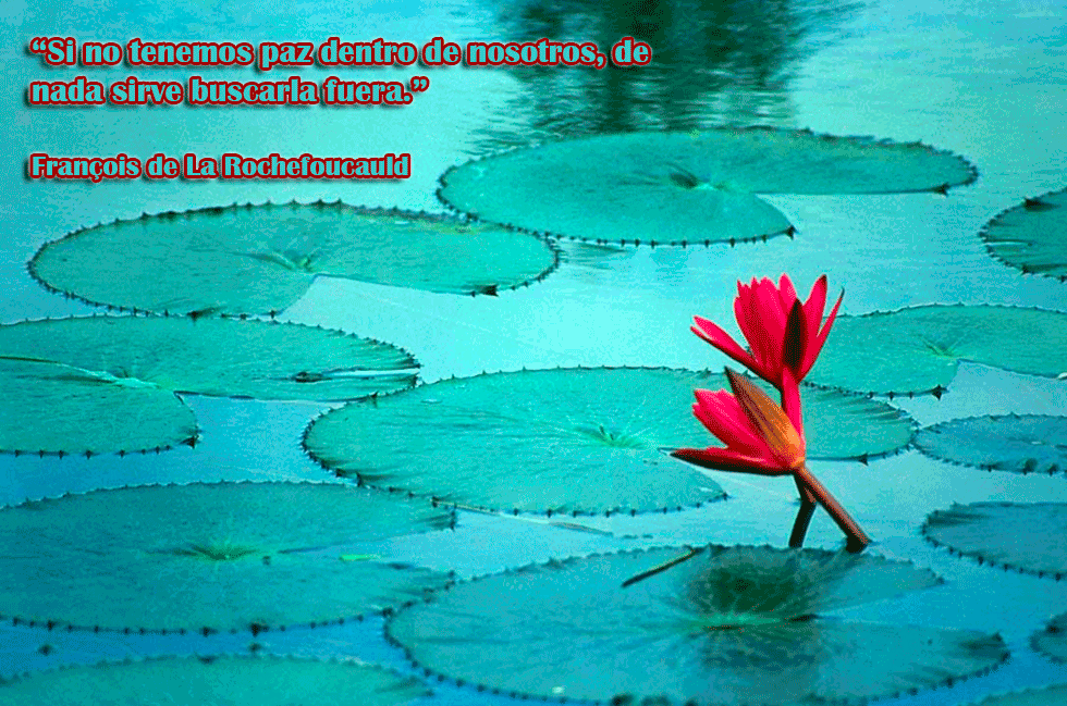 SOY LUZ EN EL CAMINO: SENTIR LA TRANQUILIDAD INTERIOR por Maharaji