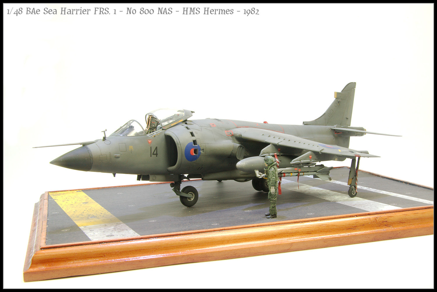 The Hamfisted Modeller: 1/48 Kinetic BAe Sea Harrier FRS.1 No 800 NAS ...