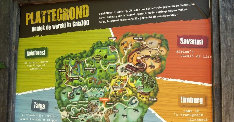 Faszination Geier: GaiaZoo Kerkrade