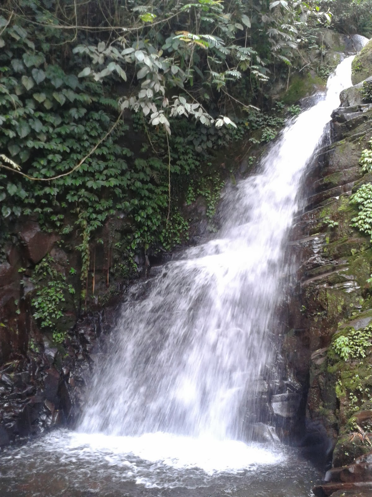 Capolaga, Outbond & Camping Ground