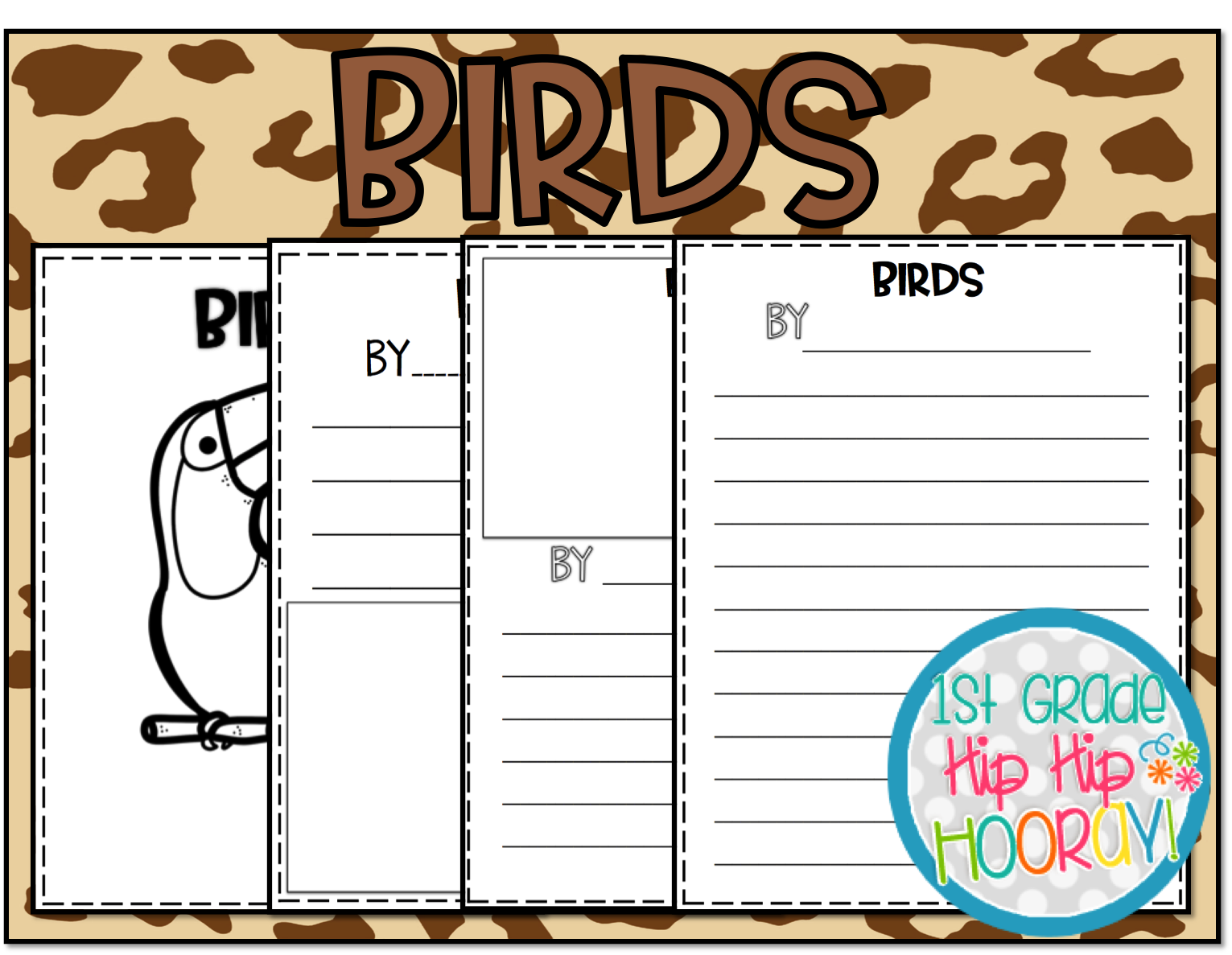 1st Grade Hip Hip Hooray!: Let's Explore Birds