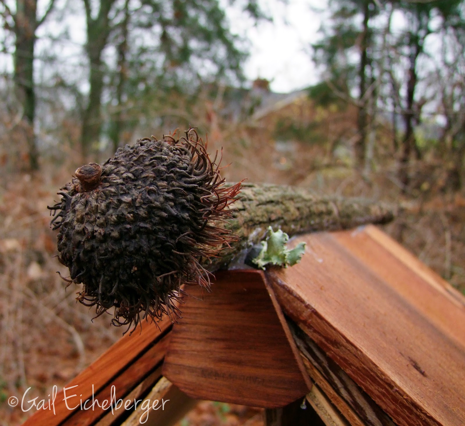 clay and limestone: The Pollinator Condo How-To
