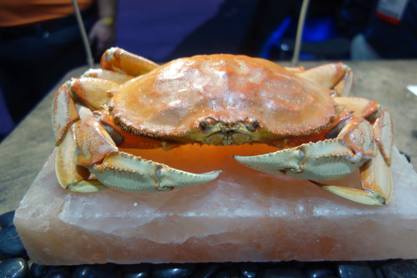 The Passionate Foodie: SENA14: Fish Fun & Photos