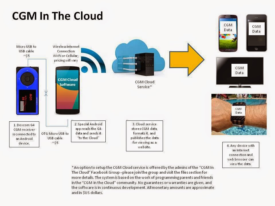 The Princess and The Pump: A Type 1 Diabetes Blog: Our CGM in the Cloud ...