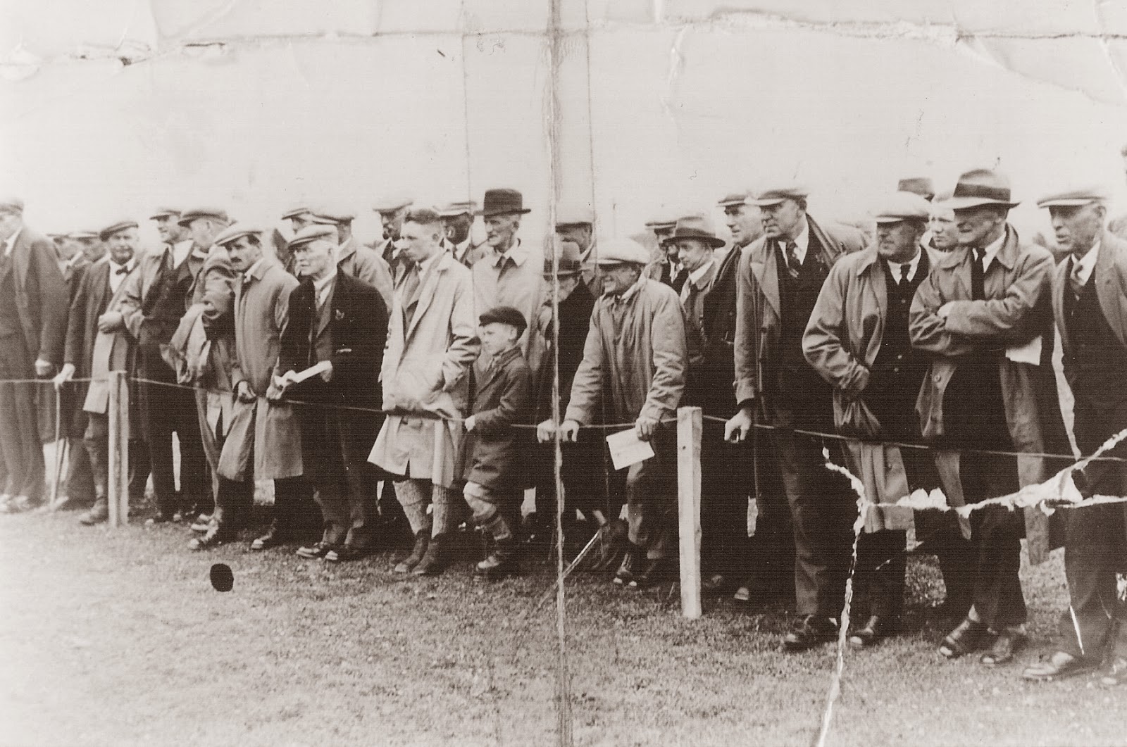 Solway Past and Present: Agricultural Shows